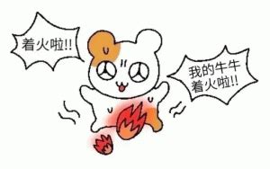 奔驰眼可爱小仓鼠 抽象摆烂小鼠表情包图片gif动图 求表情网 斗图从此不求人