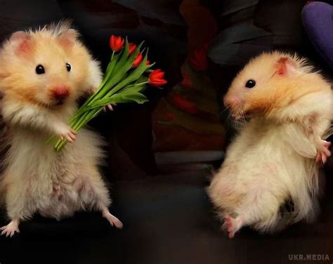 Прикольні листівки з 8 Березня