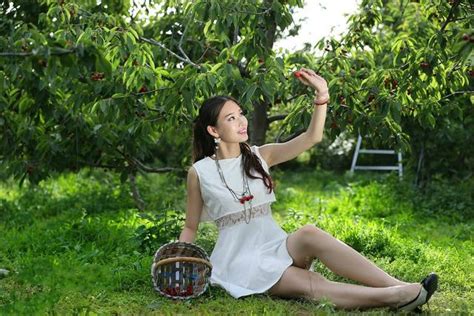 櫻桃樹下有個美女 每日頭條