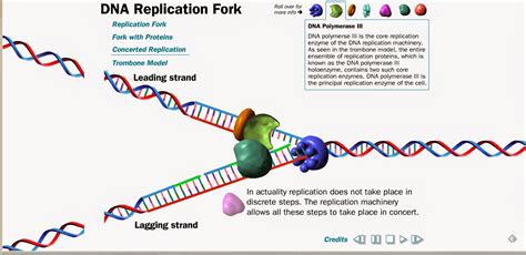 High School Learning Technologies A Digital Portfolio Harvard Dna