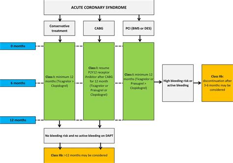 Dual Antiplatelet Therapy For Secondary Prevention Of Coronary Artery Disease Open Heart