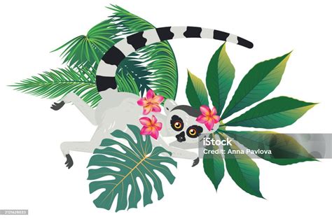 Lemur With Tropical Plants Stock Illustration Download Image Now