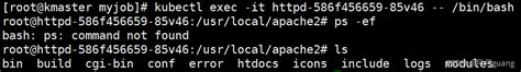 Kubernetes进入容器内操作kubectl进入容器执行 It的作用 Csdn博客