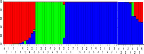 Structure Bar Plot Result For K 3 Download Scientific Diagram