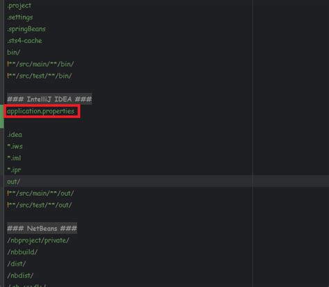 Application Properties Gitignore
