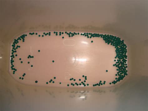 A Legion For Liam Orbeez Are Ausome