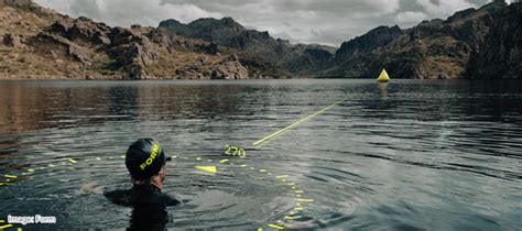 Form Follows Function Ccs Insight