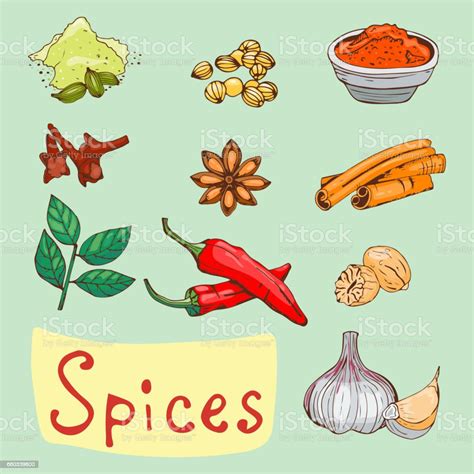 손으로 그린 조미료 향신료 스타일 음식 허브 요소와 씨앗 성분 요리 꽃 봉 오리 잎 음식 식물 건강 한 유기농 야채 벡터 일러스트 레이 션 건강한 생활방식에 대한 스톡 벡터