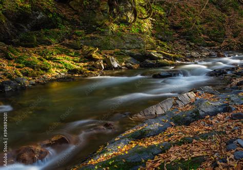 Foto De Stock Adobe Stock