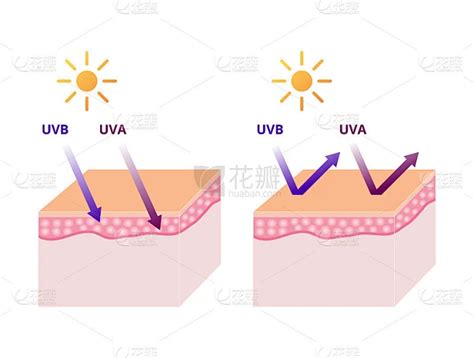 Uva和uvb辐射类型，紫外线防护防晒矢量图素材 花瓣网