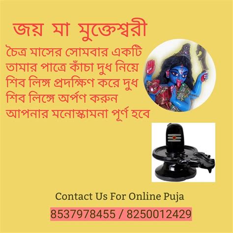 দৈনিক উপাচার 11 এপ্রিল 2022 মা মুক্তেশ্বরী