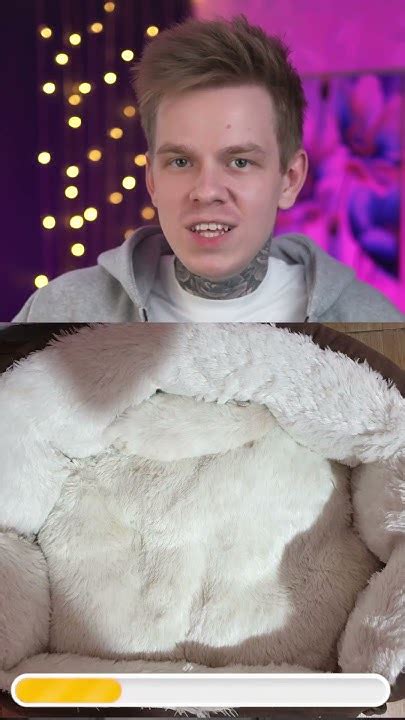 НАЙДИ ЖИВОТНЫХ ТЕСТ - YouTube