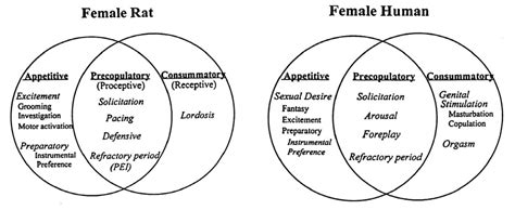 The Neurocritic September