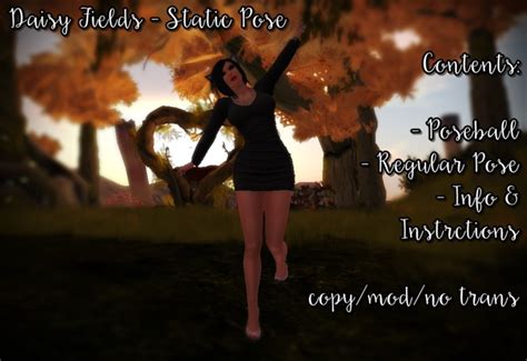 Second Life Marketplace Daisy Fields Static Pose