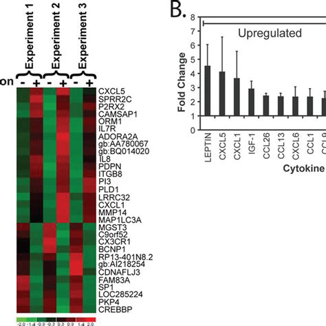 Cd4 Ligation By Mhc Ii Modulates Gene And Cytokine Expression A Gene