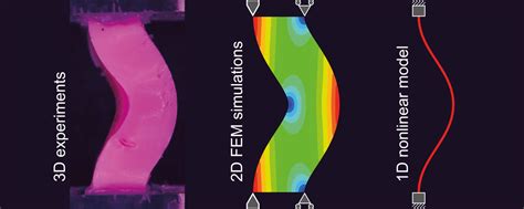 Theory Of Postbuckling For Wide And Nonlinear Beams Corentin Coulais