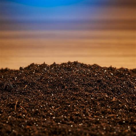 Soil And Substrate For Plants On A Wooden Surface In A Natural