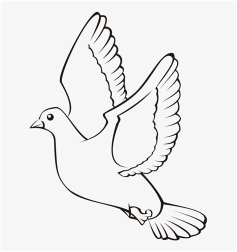 Download Bird In Flight 4 Outline Picture Of Bird Flying Hd