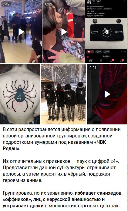 Что это за Покемоны Rpikabu