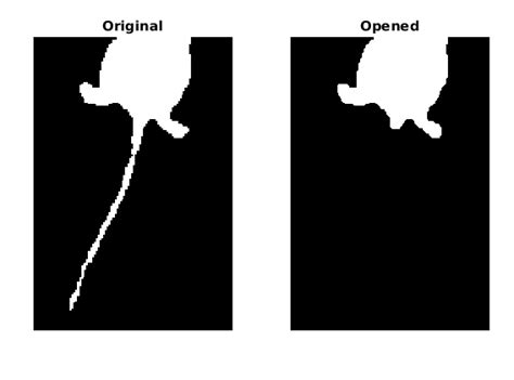 Matlab Fill In A Region Of A Binary Image Which Is Not Completely Closed Stack Overflow