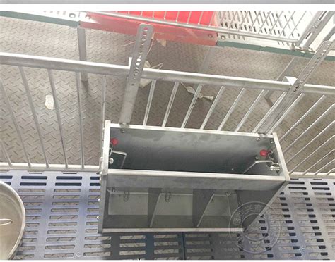 不锈钢仔猪补料槽