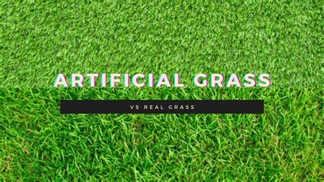 Artificial Grass Vs Real Grass 10 Critical Differences To Keep In Mind