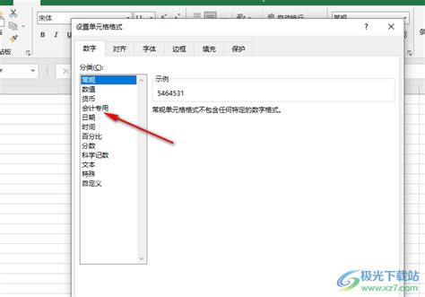 Excel如何设置会计专用格式？ Excel设置会计专用格式的方法 极光下载站
