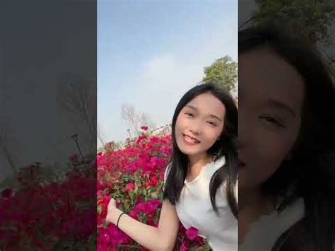 甘妹妹花開的時候你就來看我等你來摘那最美的一朵 YouTube