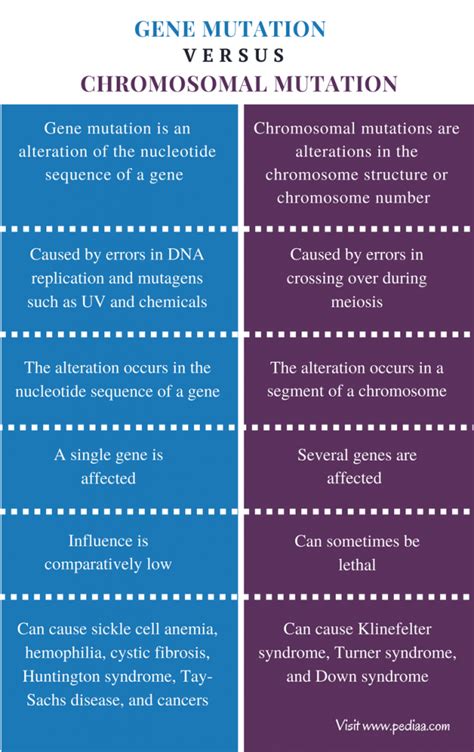 Difference Between Gene Mutation And Chromosomal Mutation Definition