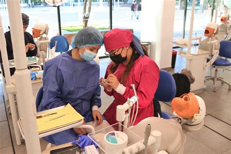 Cuántos Años Dura La Carrera De Odontología En Argentina