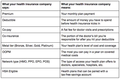 8 Health Insurance Terms To Know Before Enrolling — Stride Blog