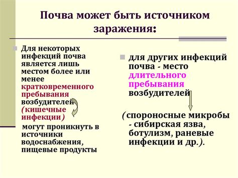 Экология микроорганизмов Микрофлора окружающей среды Основы санитарной микробиологии