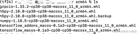 macbook m1避坑指南：安装apple tensorflow（arm64） torch 2 1 1 cp39 none macosx