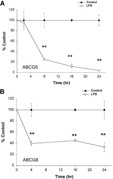 Endotoxin Down Regulates ABCG And ABCG In Mouse Liver And ABCA And ABCG In J Murine