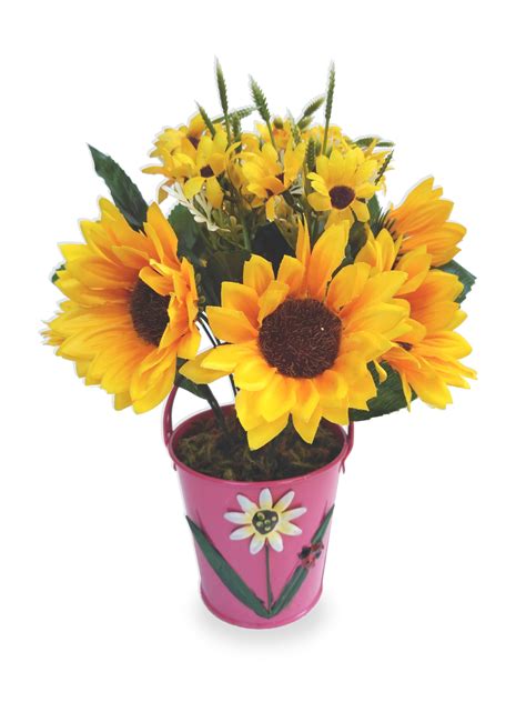 Girassol No Vaso Png Best Succulent Ideas