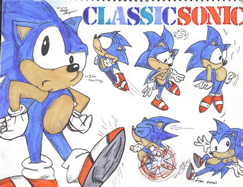 Classic Sonic By Beckylynne On Deviantart