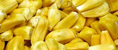 Khasiat Buah Nangka Bagi Kesehatan