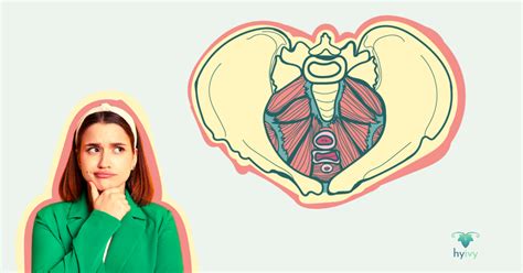 What Do I Need To Know About The Pelvic Floor