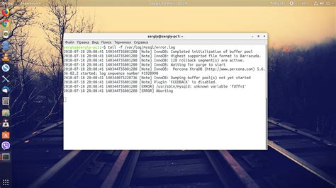 Не запускается Mysql Losst
