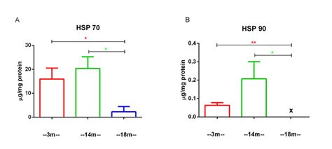 The Aging Process Affects The Expression And Function Of The Chaperone