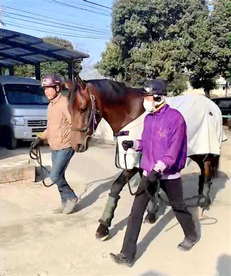 年度代表馬エフフォーリアが美浦トレセンに帰厩 鹿戸師「順調に来ています」 競馬ニュース Netkeiba
