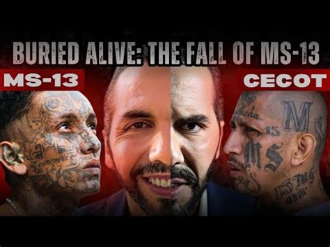 Ms 13 Inside The Worlds Deadliest Street Gang The Fall Of Ms 13