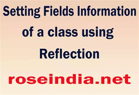 Setting Fields Information Of A Class Using Reflection