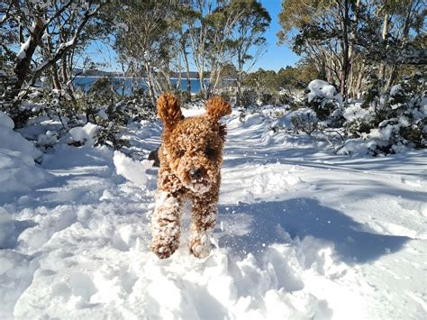 301 Moved Permanently