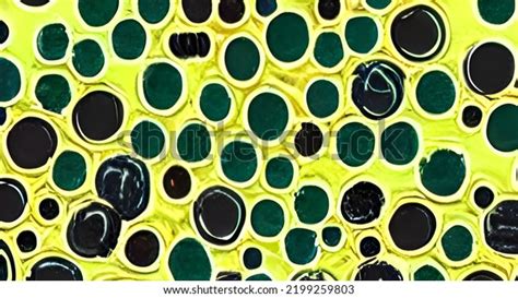 박테리아 바이러스 혹은 세균 미생물 세포 스톡 일러스트 2199259803 Shutterstock