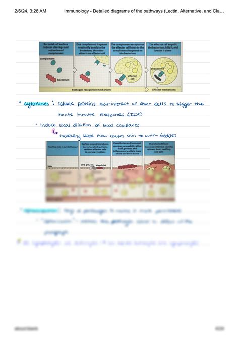 Solution Immunology Detailed Diagrams Of The Pathways Lectin