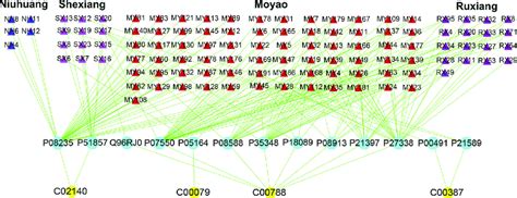 The Compound Target Potential Metabolite Xhw Interaction Network The
