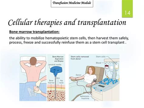 Transfusion Module Lecture 1 Introductionpdf