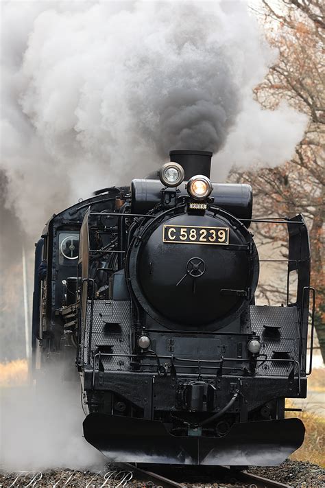1126hmなしのc58 239「sl銀河」 Travair Railway Photograph