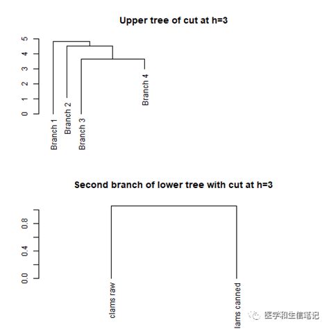 R语言聚类分析可视化 2 知乎
